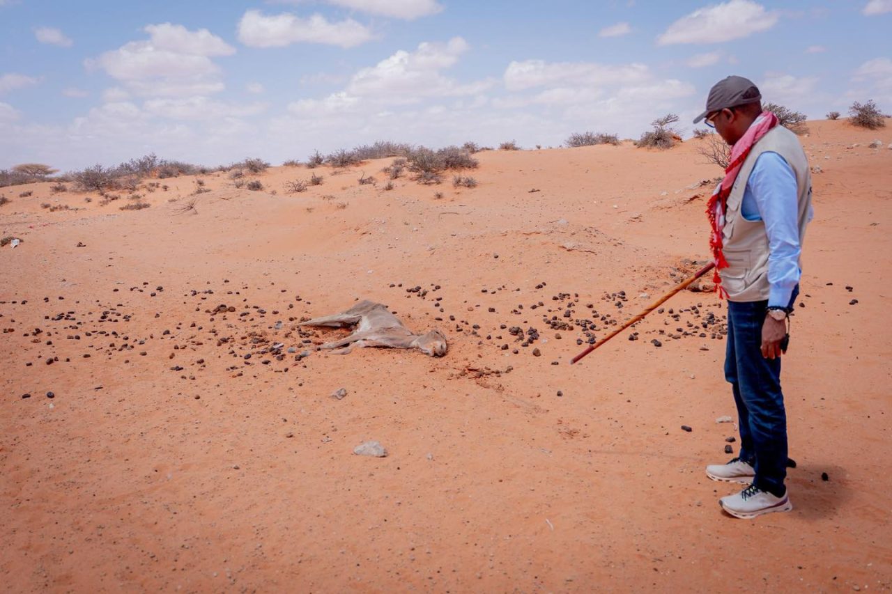 SoDMA Commissioner Visits Adado Strengthens Drought Response and ...