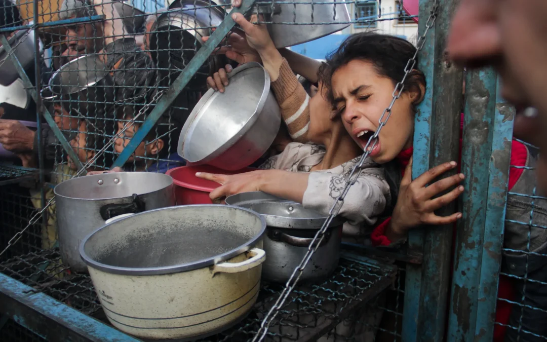 What is famine? Famine: meaning, causes and how to stop it | SoDMA